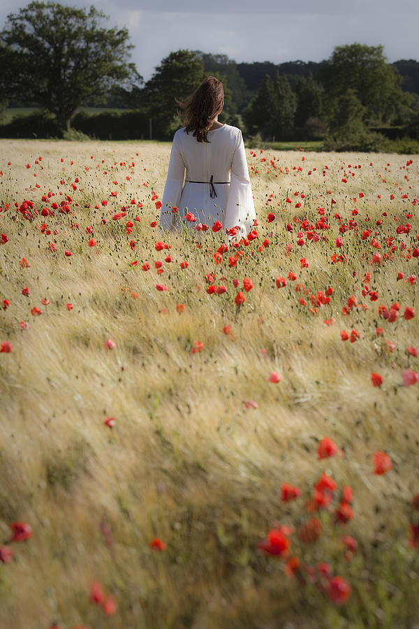 Field Photograph By Maria Heyens Fine Art America