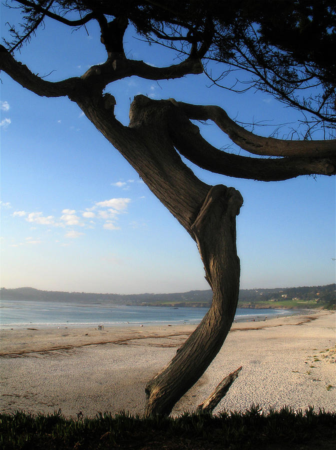 Figure Study Photograph by Michelle Sixta | Pixels