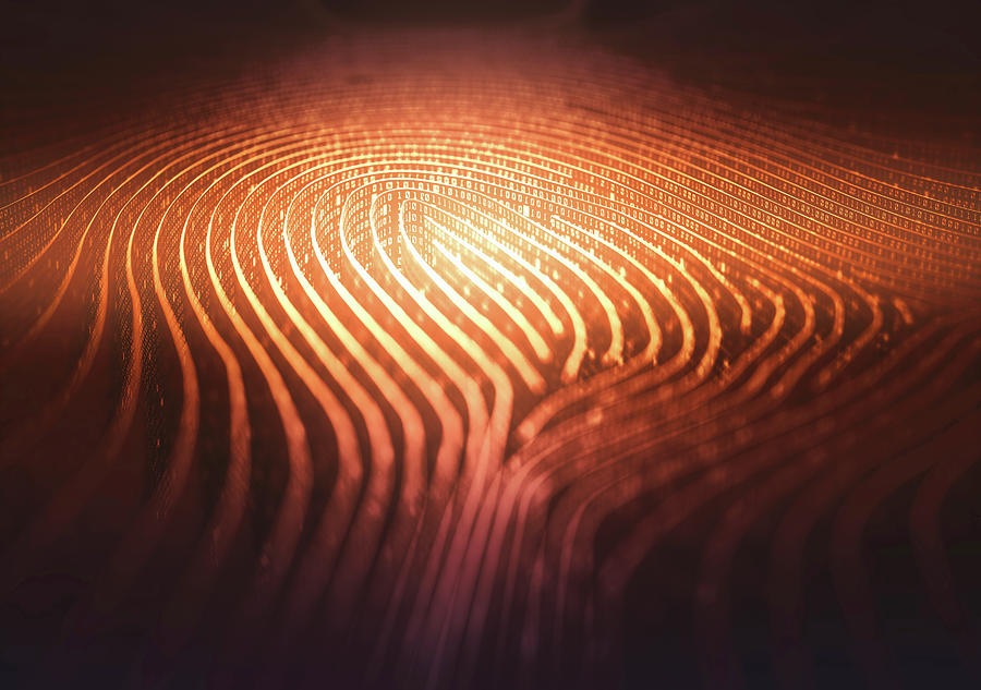 Fingerprint Shape In Binary Code by Science Photo Library
