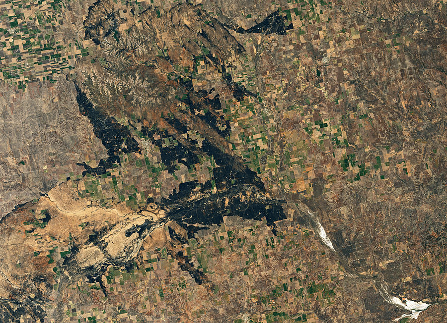 Fire Aftermath Photograph by Science Source - Fine Art America