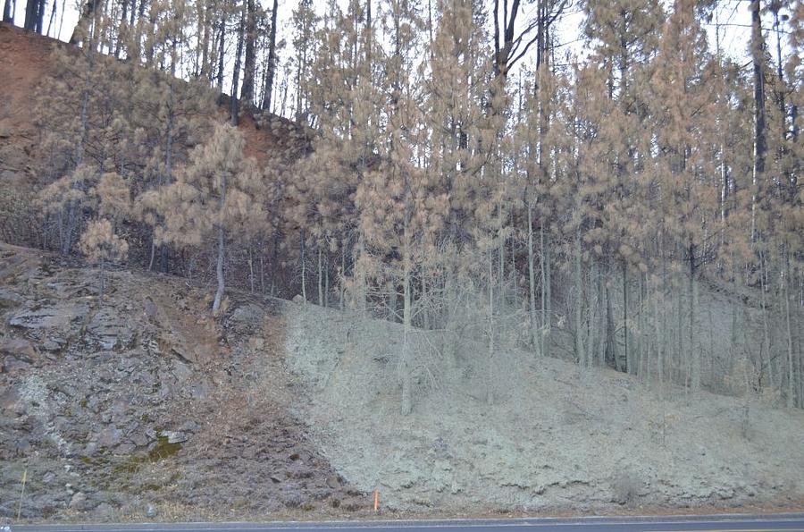 Fire Digital Art by David Reber - Fine Art America