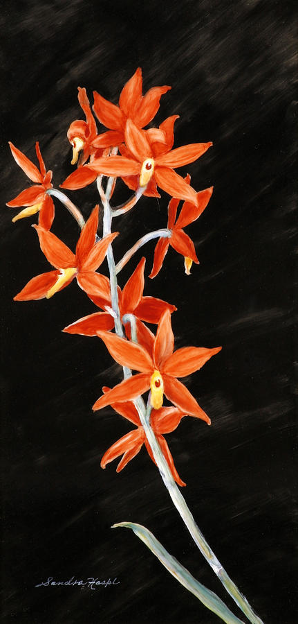 Fire Orchid Painting by Sandra Haspl - Fine Art America