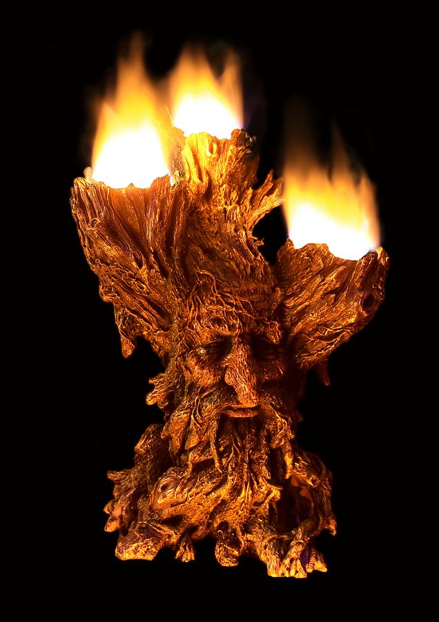 Fire tree Digital Art by Ed Lukas - Fine Art America