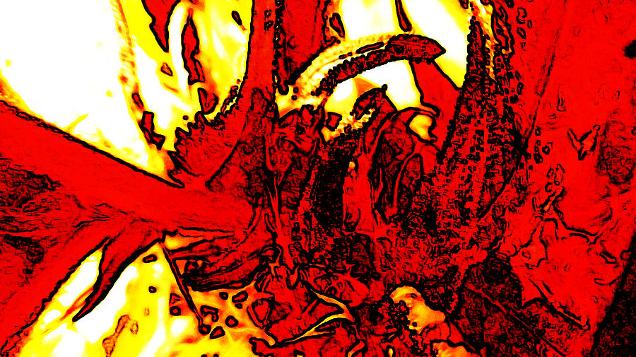 FireFrame Digital Art by L Or - Fine Art America