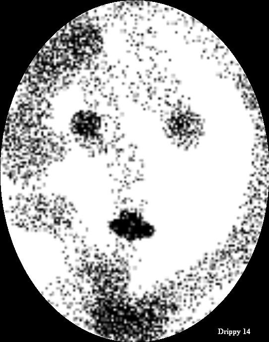 First Face Digital Art by Mark Wardrip - Fine Art America