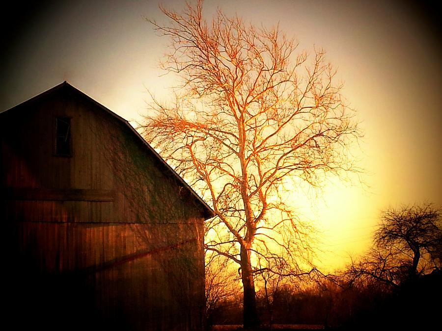 First Light Photograph by Michael L Kimble - Fine Art America