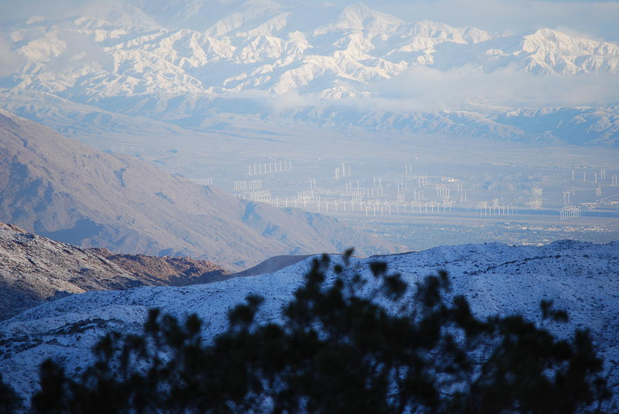 First Snowfall Photograph by Michael Young - Fine Art America