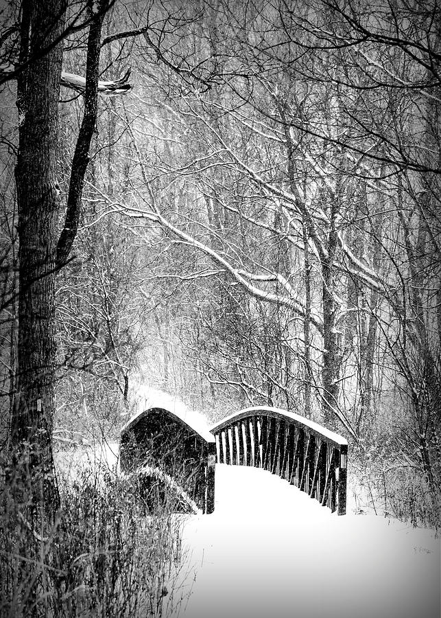 First Snowfall Photograph by Nicki Williams - Fine Art America