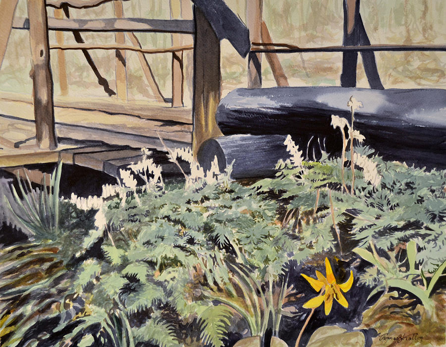 First Trout Lily Painting by Thomas Stratton - Fine Art America
