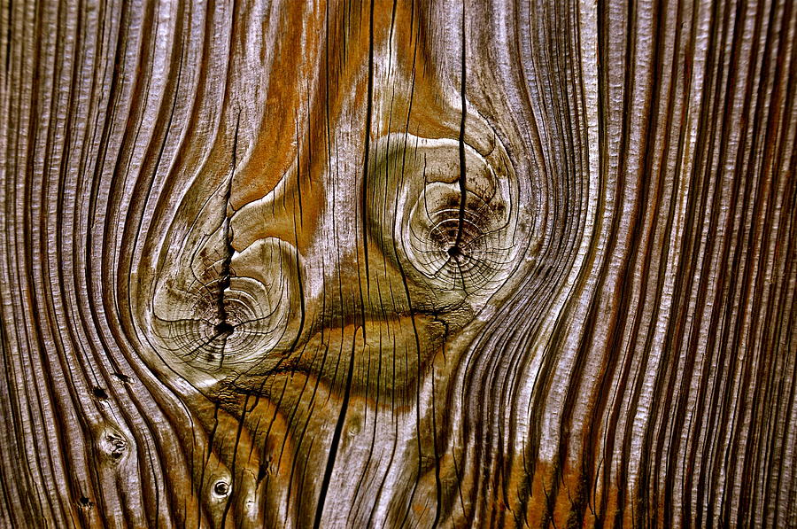 Flame Photograph by David Flitman - Fine Art America