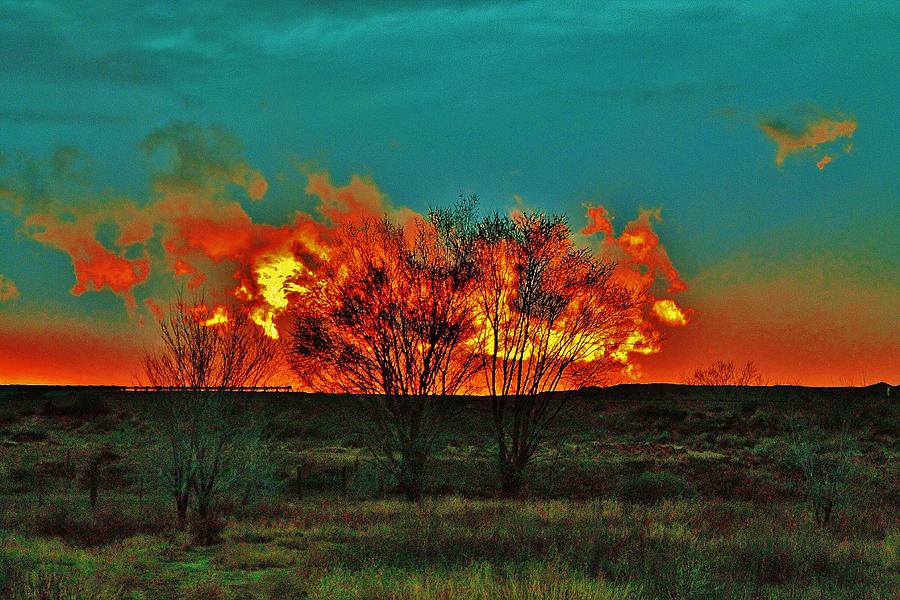 Flaming Trees Photograph by John Sheets - Fine Art America