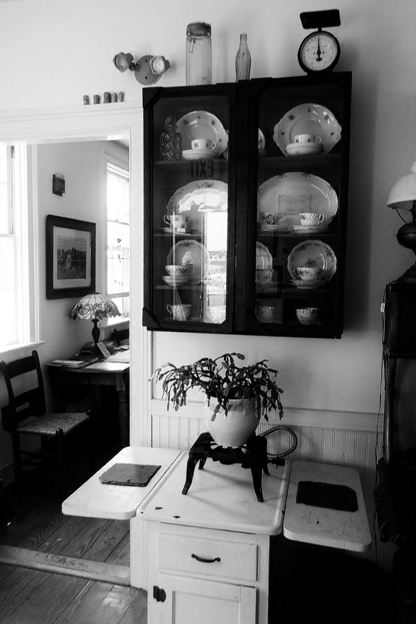 Fading Life Photograph by Ashley Casterline - Fine Art America