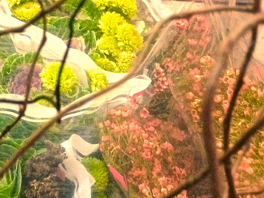 Fleurs De Bodega Photograph by Peri Lyons - Fine Art America