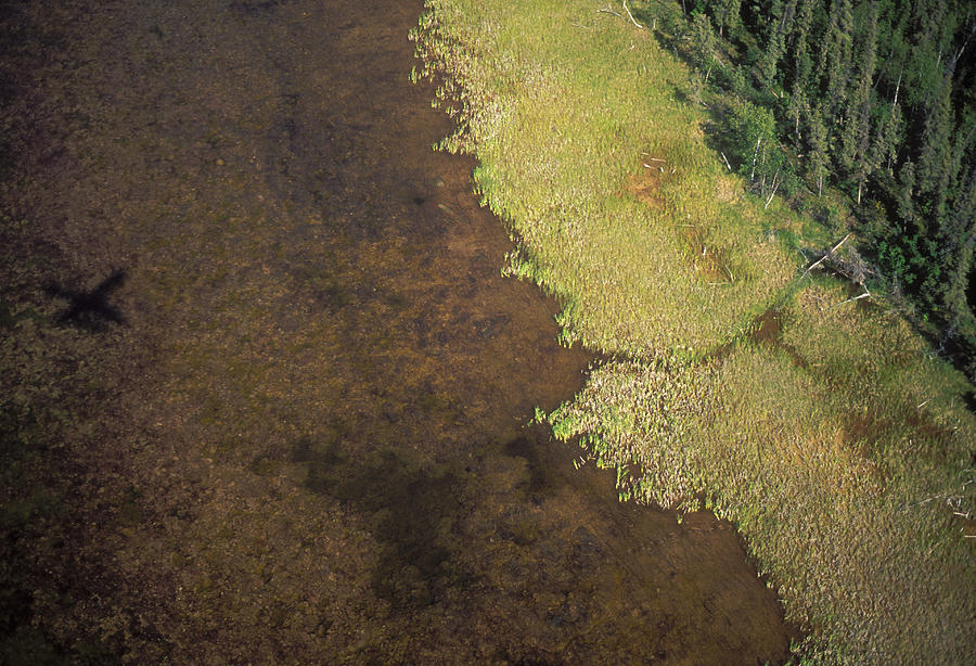 Float Plane Reflection Photograph by Mark Dornblaser - Fine Art America