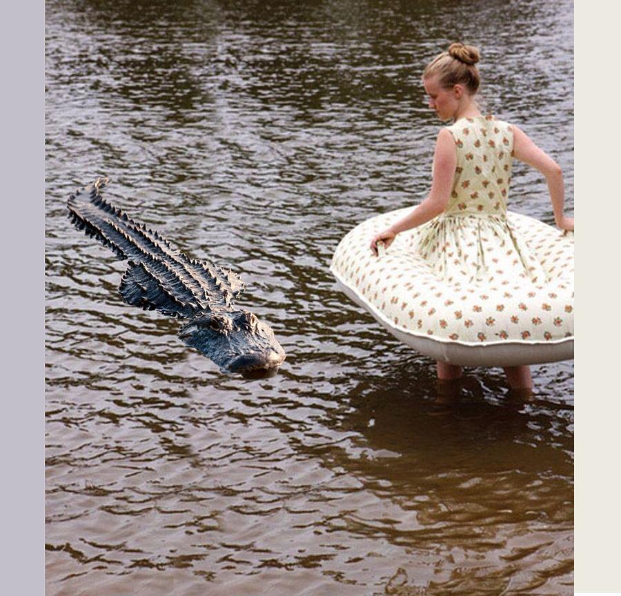 Floatation Situation Digital Art by Alan McCormick