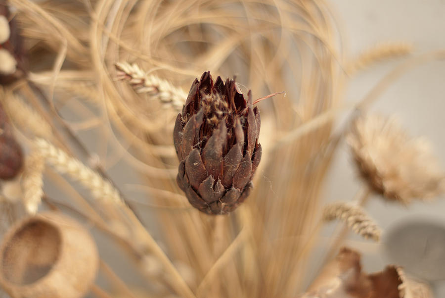 Floating Head Photograph by Pete Abbott - Fine Art America
