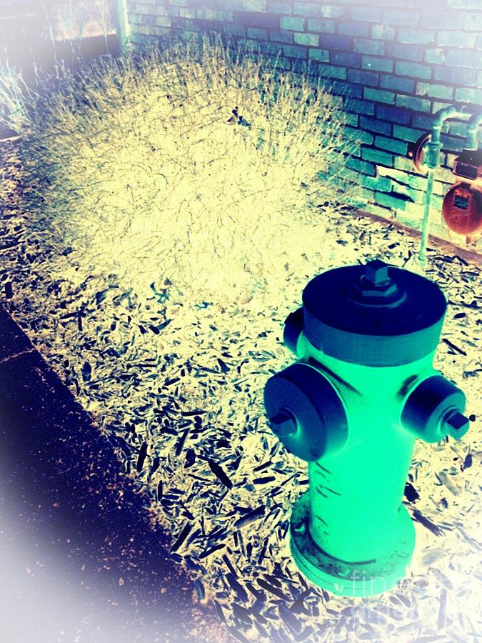 Floating Hydrant Photograph by Yannick Ndongmo - Fine Art America