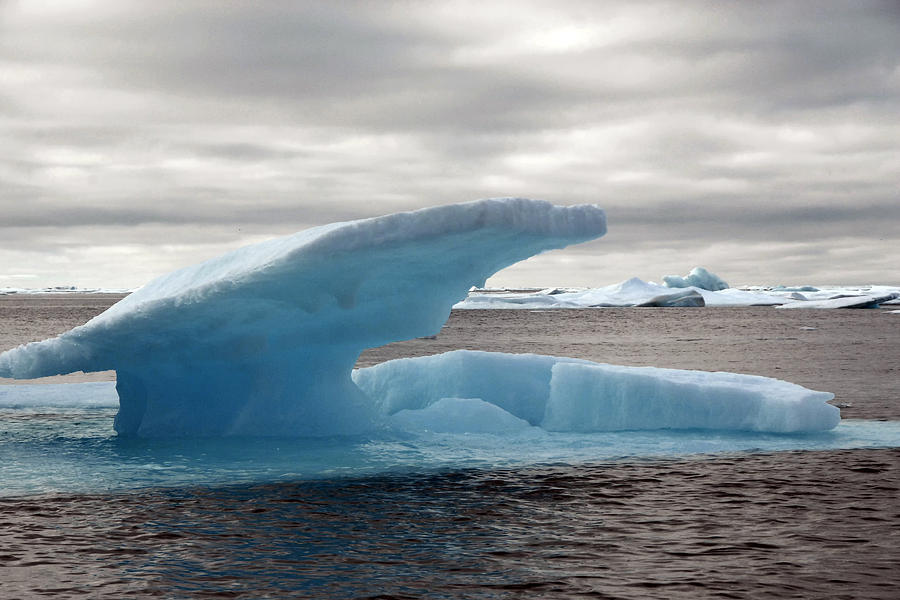 Floating Iceberg 3 Photograph by Ralph Brunner - Fine Art America
