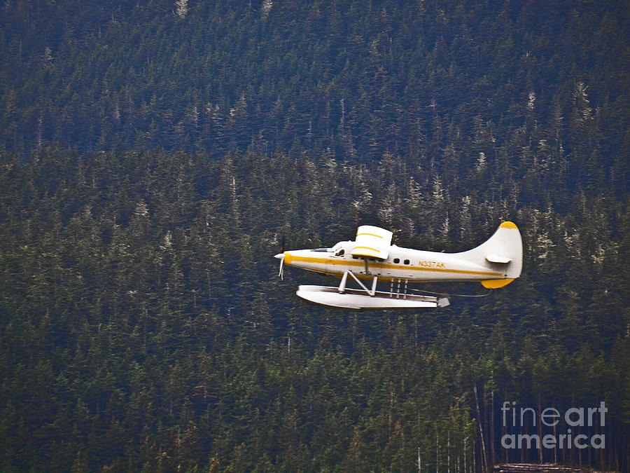 Floatplane over Alaskan forest Photograph by Howard Stapleton - Pixels