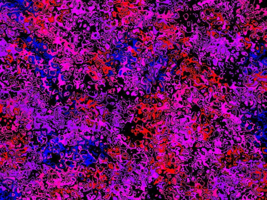 Floogle Photograph by Mark Blauhoefer - Fine Art America