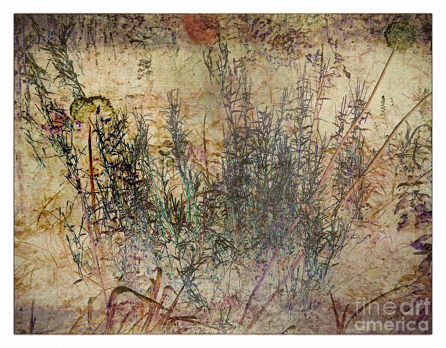 Floral Musings Digital Art by Liz Alderdice - Fine Art America