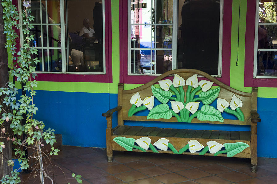 Flower Bench Photograph by George Herbert - Fine Art America