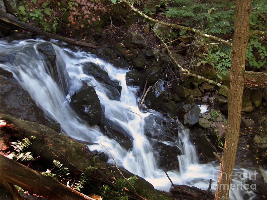 Fluidity Photograph by Andre Paquin - Pixels