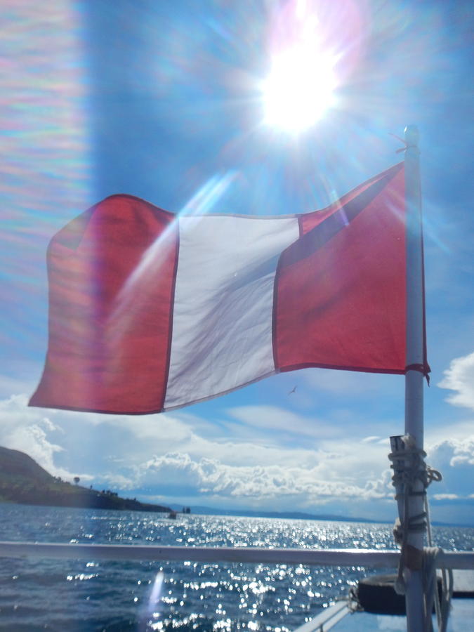 Fluke Photograph by Elysha Marie - Fine Art America