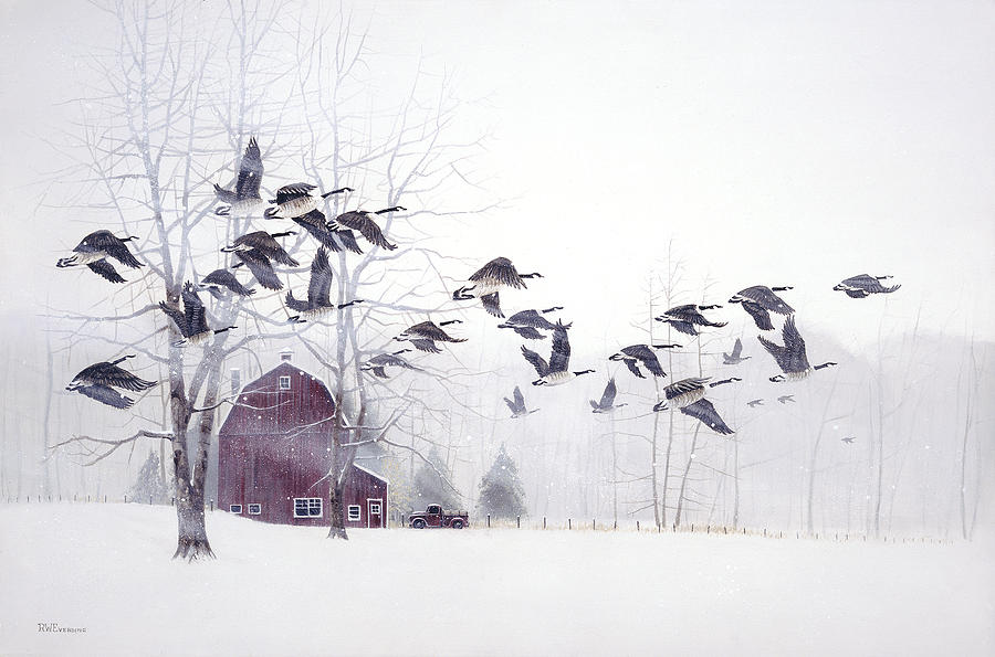 Fly-Bye Painting by Robert Everding - Fine Art America