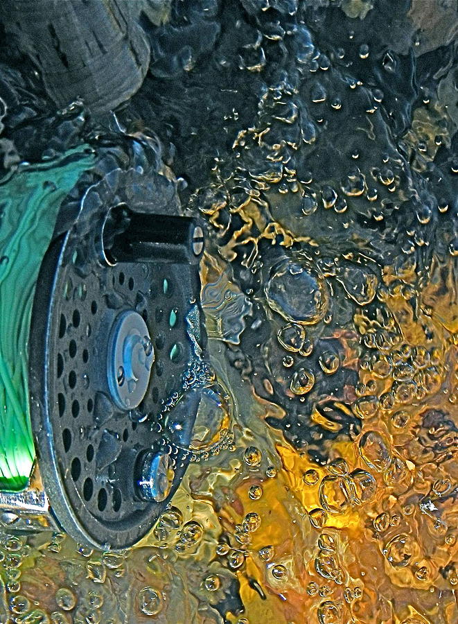 fly Real Photograph by Jon Lister - Fine Art America