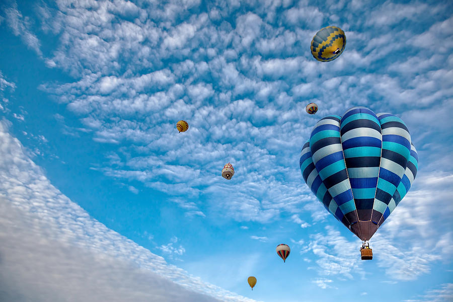 Flying High Photograph by Edwin Leung - Fine Art America