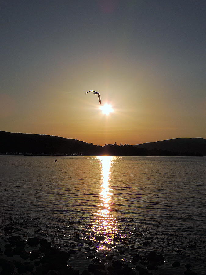 Flying Over Photograph by Laura McGlinn Photography - Fine Art America