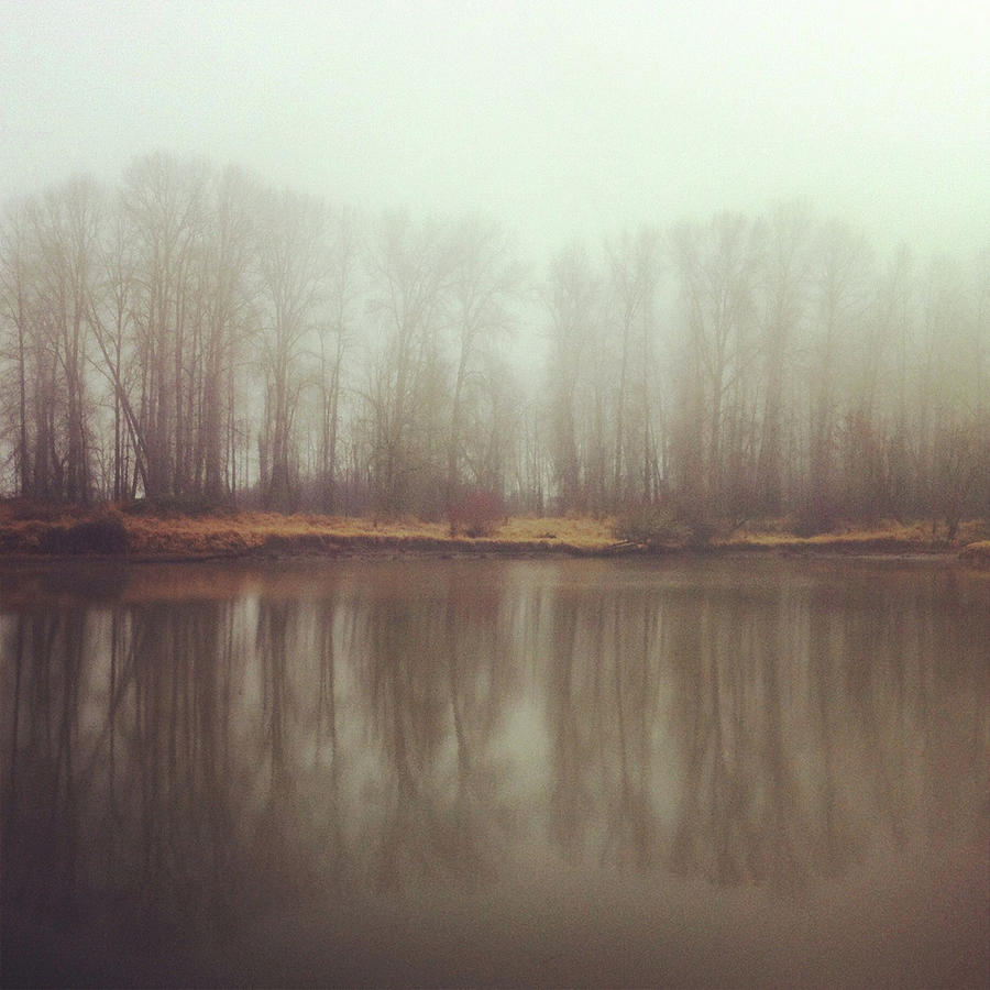 Foggy Reflection by Andipantz