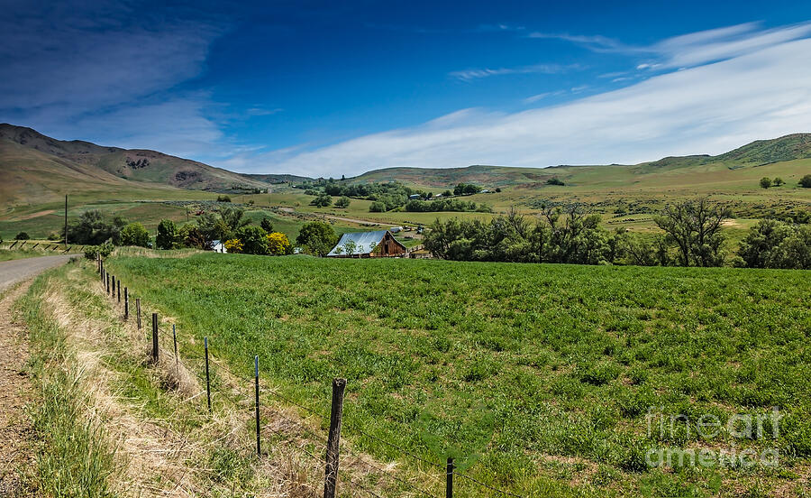 Foothill Ranch Photograph by Robert Bales | Fine Art America
