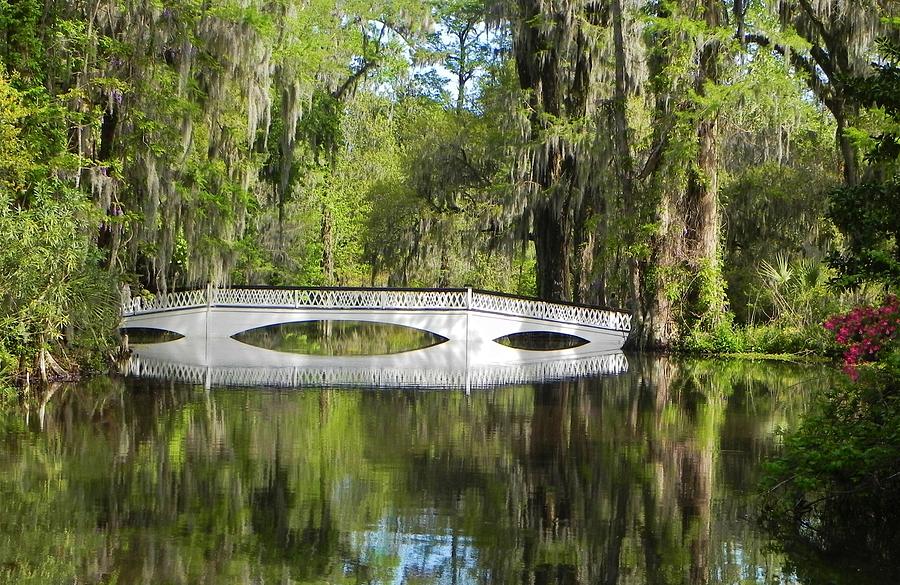 Footpath Bridge Photograph by Brenda Bihlear - Fine Art America