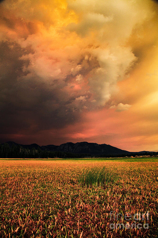 Forest Fire Sunset Photograph by Webb Canepa - Pixels