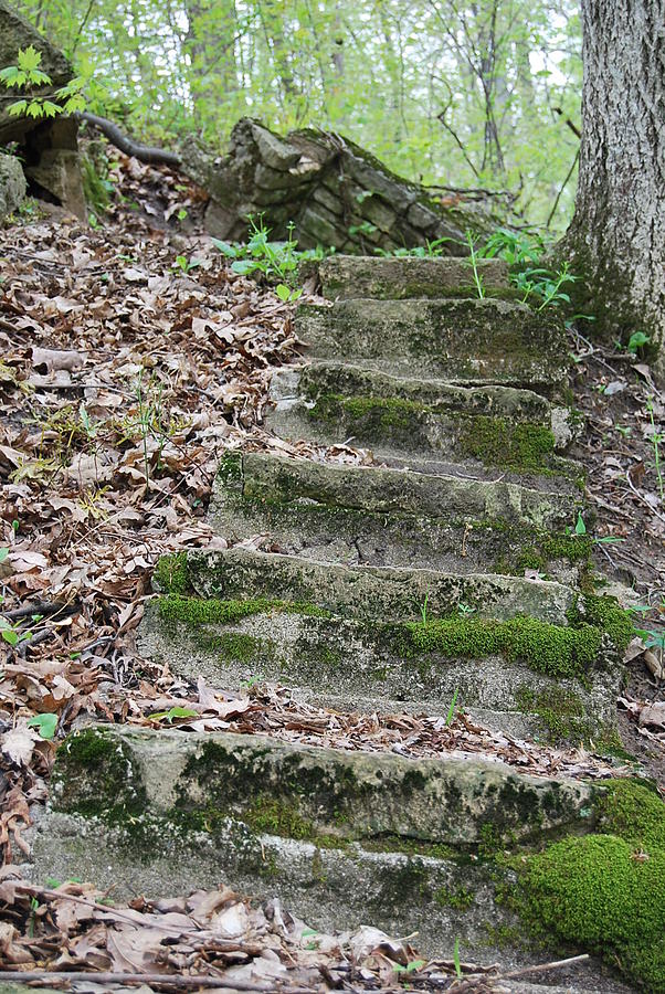 Forgotten Steps Photograph by Ashley Snodgress | Fine Art America