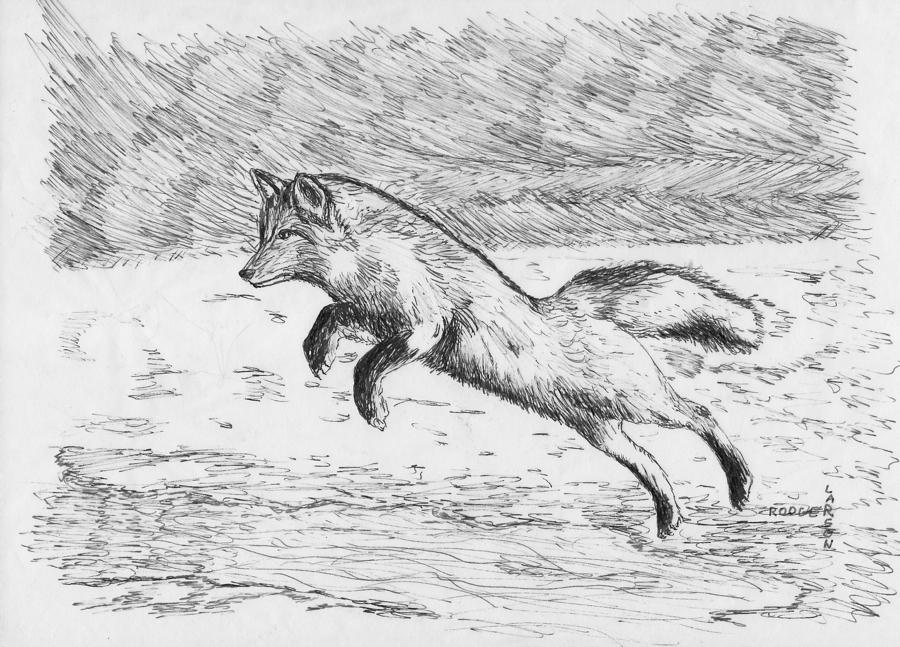 Leaping Fox Drawing