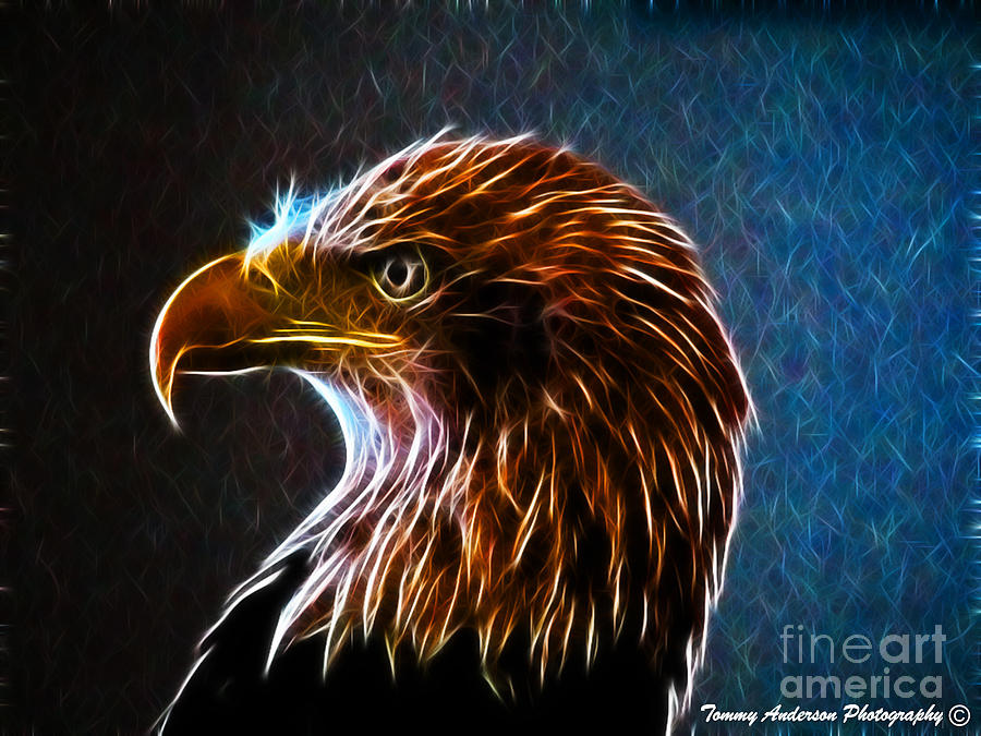 Fractal Harriet Photograph by Tommy Anderson - Fine Art America Fractal Harriet Photograph by Tommy Anderson - Fine Art America