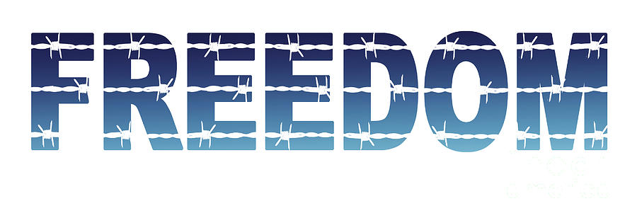 Freedom-3 Digital Art by Chris Van Es - Fine Art America