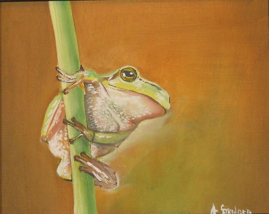 Frog Hanging Painting by Alfred Stringer - Fine Art America