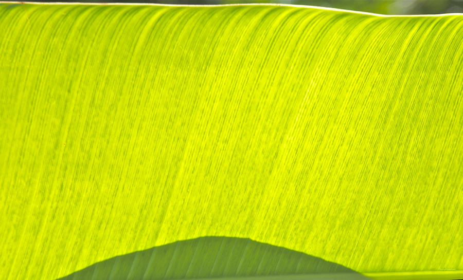 Fron Photograph by Perry Frantzman - Fine Art America