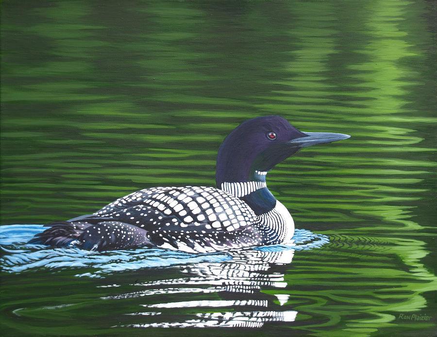 Frontenac Loon Painting by Ron Plaizier - Fine Art America