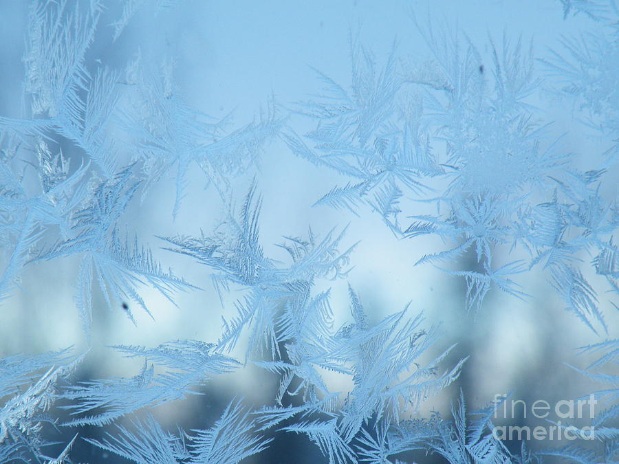 Frost taking flight Photograph by Brian Boyle - Fine Art America