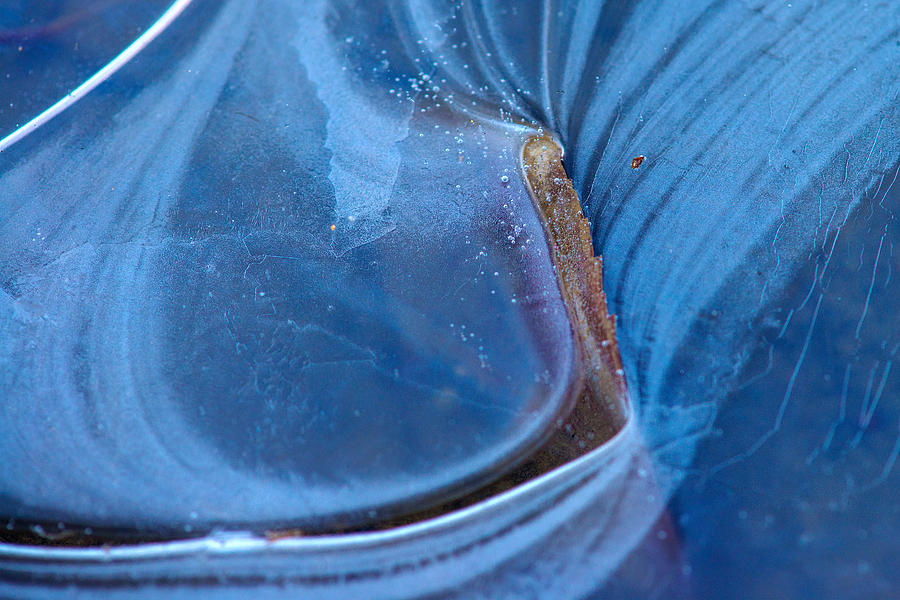 Frozen Photograph by Matt Stapleton - Fine Art America