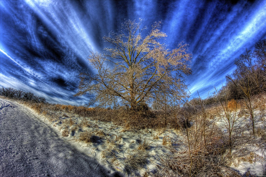 Frozen Sky Photograph by Mark Six - Fine Art America