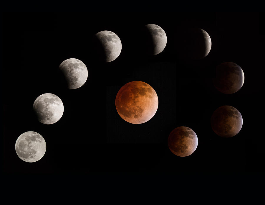 Full Eclipse Hunters Moon Photograph by Larry Pollock - Fine Art America