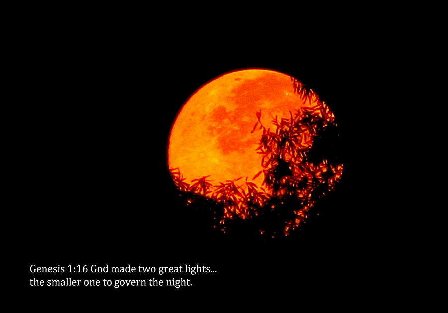 Full Moon With Scripture Photograph by Charles Shedd - Fine Art America