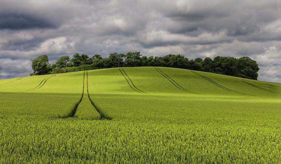 Furrows by Always Looking For A Good Angle!