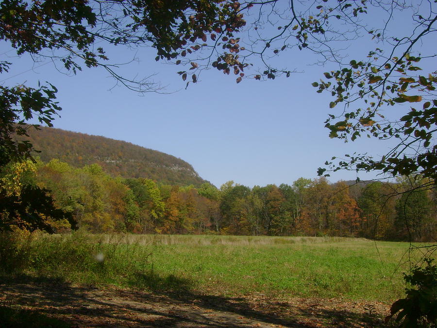 Gap View Photograph by Suzanne Snyder - Pixels